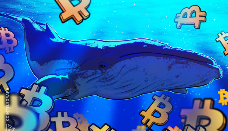 Layer1 CEO alleges co-founder is using majority power to 'ransack ...
